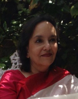 Bio « Sarmila Bose